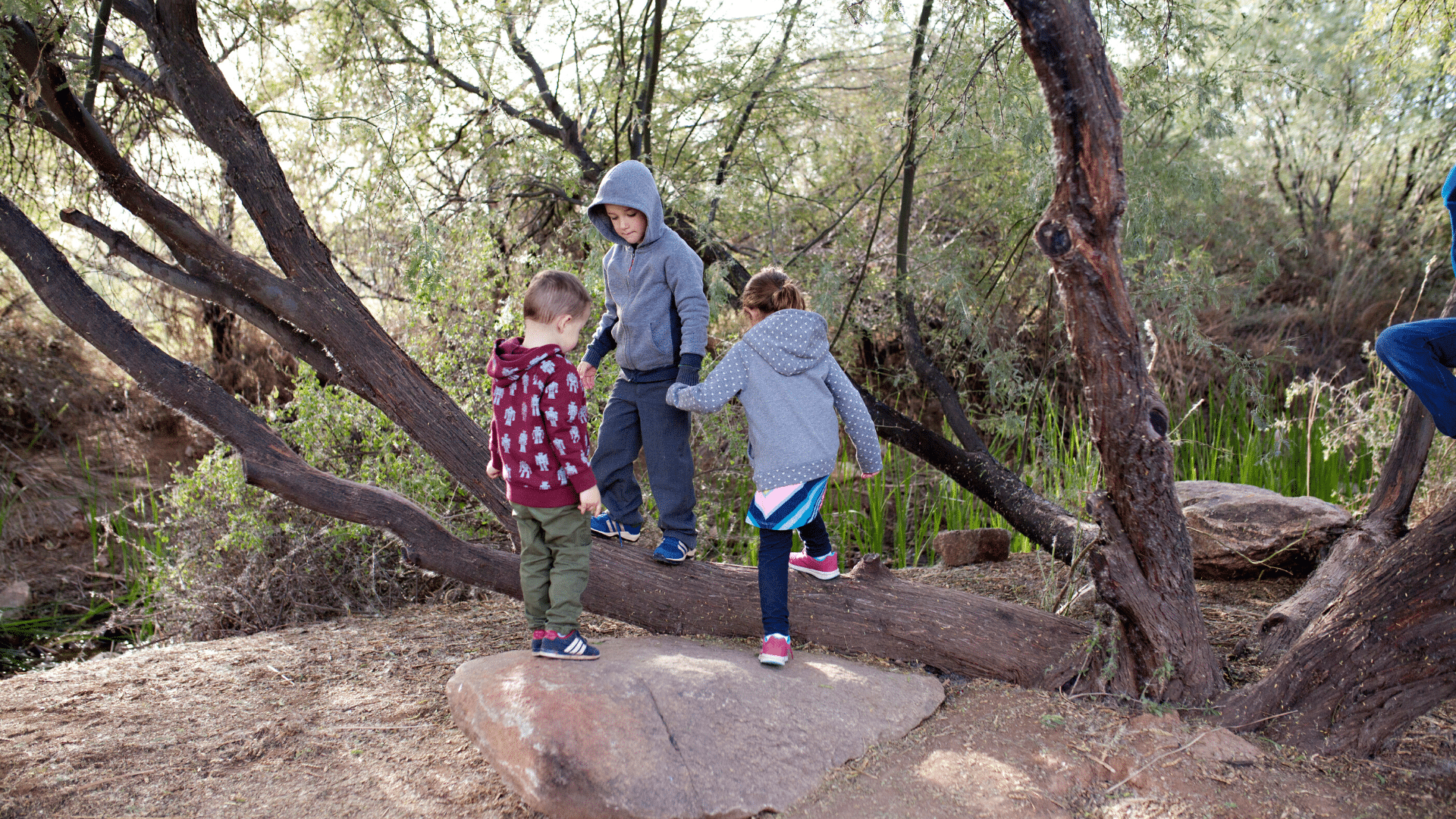 20 Super Fun Screen-Free Activities for Kids at Home - Yowie World