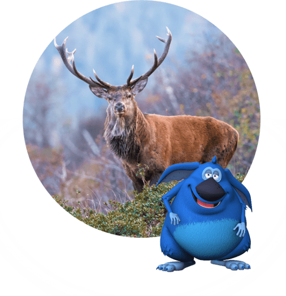 Animals with Superpowers - Yowie World