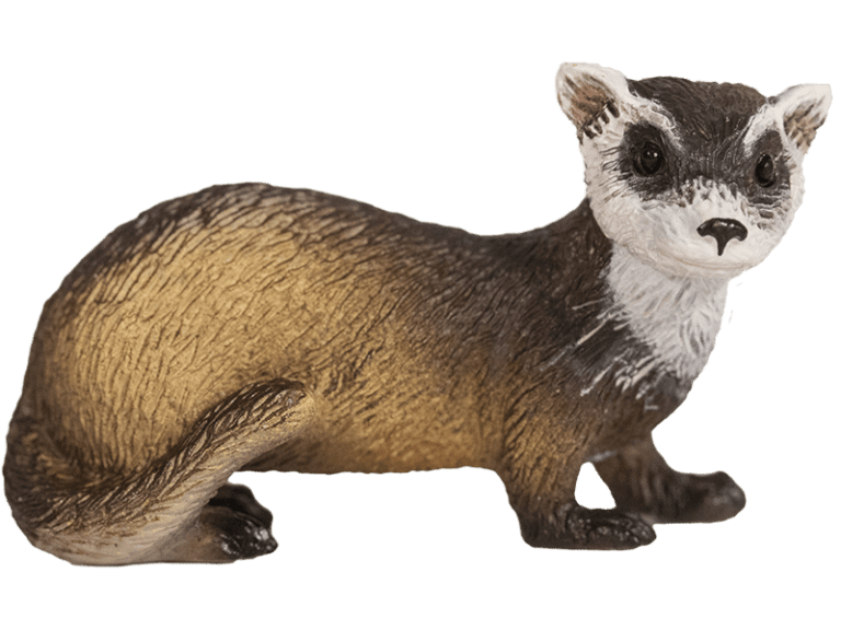 Ranger Series - Yowie World