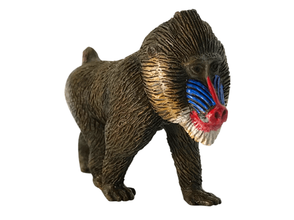 World Wildlife Super Series - Yowie World