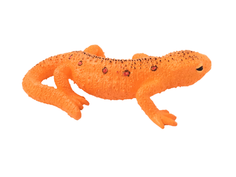 Colors of the Animal Kingdom - Yowie World